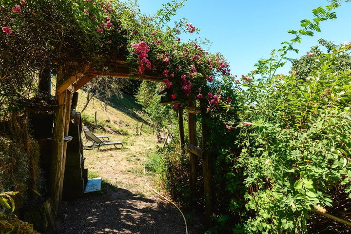 Gîte « Des 3 âNes » : Vue Montagne, Terrasse Privée Et Wi-fi - Haut-Rhin