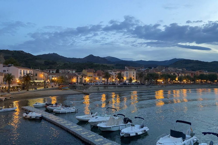 Collioure : Rare, Villa Dans Un Jardin, à 300 M Des Plages Et Des Commerces - Collioure