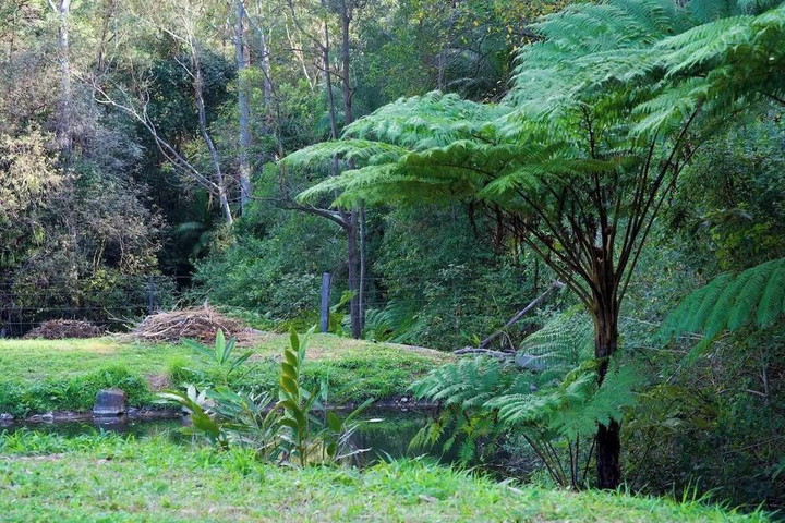 Charming Tiny House Escape<br> - Maleny