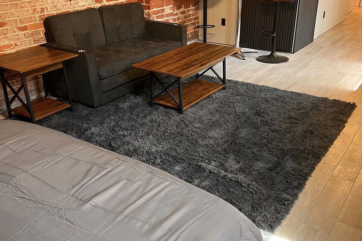 Private Studio Apartment 2 Blocks From All Arenas! Event Parking Included - Detroit, MI