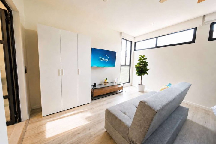 Coco 8 · 30 M² Suite With Terrace In Condesa · 1 Bath - Mexico City