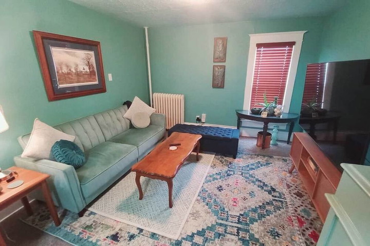Earthvine: Cozy Zen Retreat Pets-ok Downtown-isu - Ames, IA