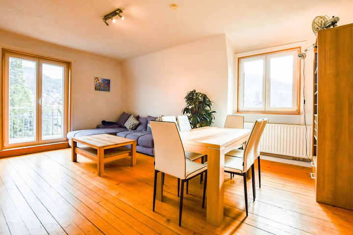 Holiday Flat "Villa Fink Attic" With Mountain View, Private Balcony, Private Terrace And Wi-fi - Schiltach
