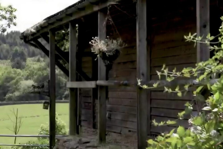 Secluded Little Hideaway In The Beautiful Mountains Of Llanwonno. Dog Friendly. - South Wales