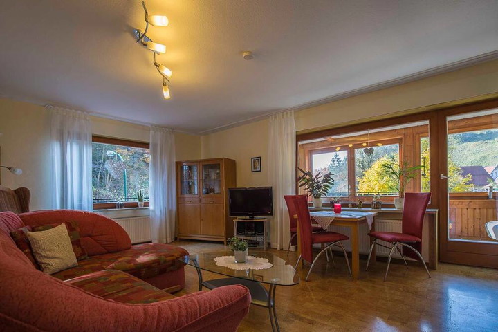 Pension Haus Brückner - Appartement - Appartement - Clausthal-Zellerfeld