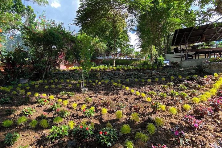 Cozy 1 Bedroom Cabin In The Midst Of Nature - Argao