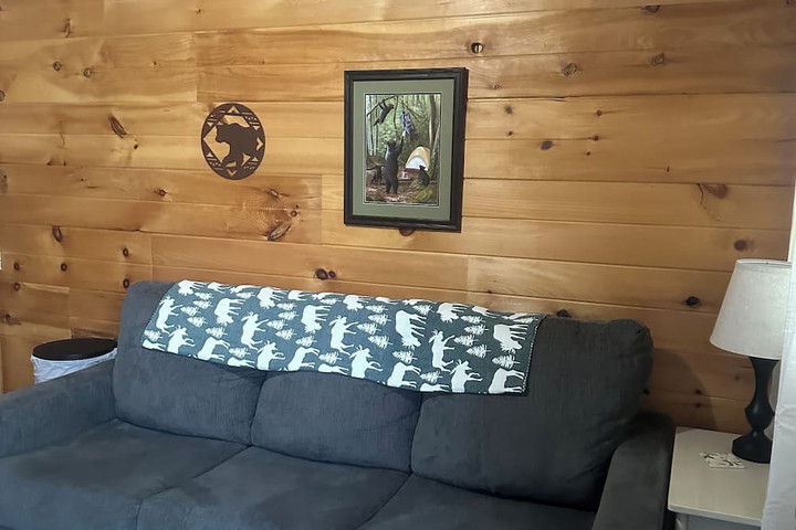 Bear Cub ,Cozy Cabin With Wifi And Ac In Peaceful Stevenson - Alabama