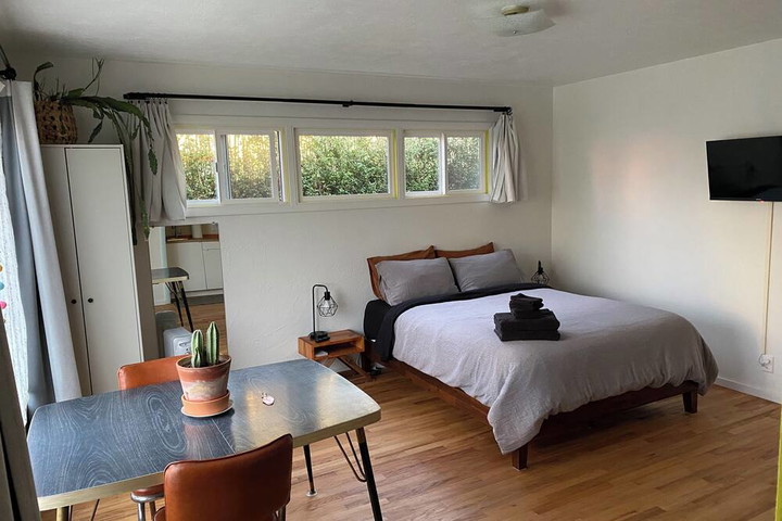 Unique Mid-century Studio - Eureka, CA