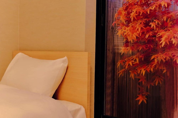 Modern Japanese-style Guesthouse - Ginza
