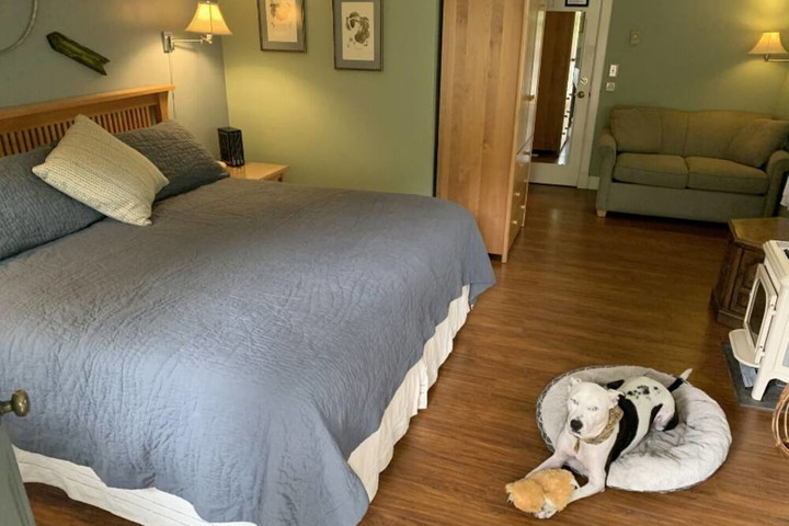 Ashland's Premier Eco-b&b: Dog-friendly King Bed Suite With Separate Entrance (Jardin) - Ashland, OR