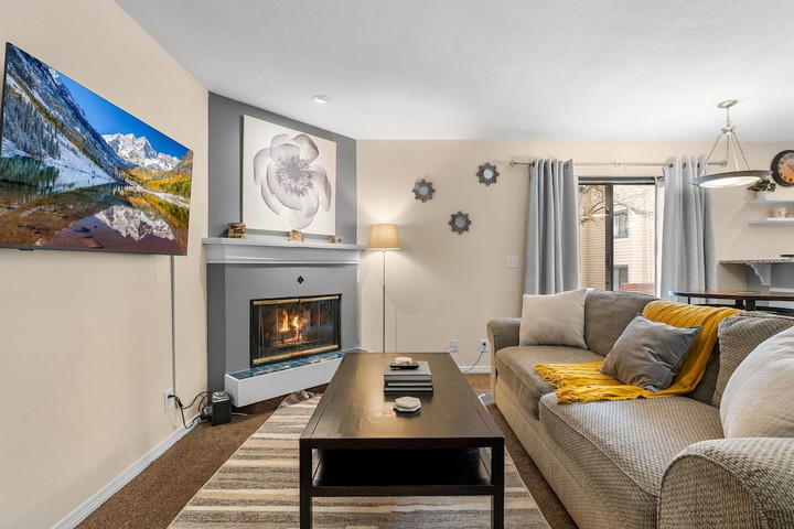 Cozy Dtc 1br Retreat, Gym, Fast Wifi - Parker, CO