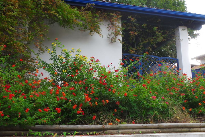 Appartement Dans Maison Avec Jardin Classé 3 éToiles(pas Drap,  Serviette L'été) - Ciboure