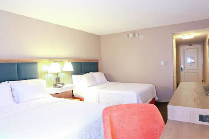 2 Queen Beds Standard Room | Breakfast & Comfort - Wesley Chapel, FL