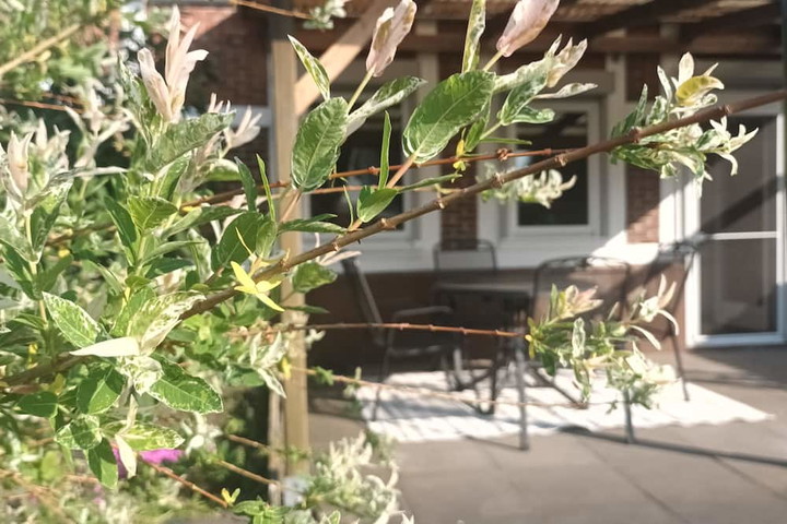 Appartement De Vacances Au Cœur De L'altes Land - Jork
