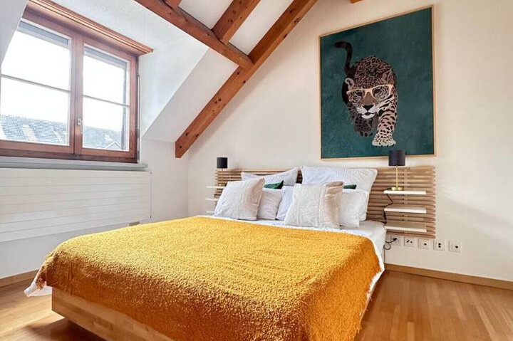 Cozy 2.5 Room Apartment In Winterthur - Winterthur