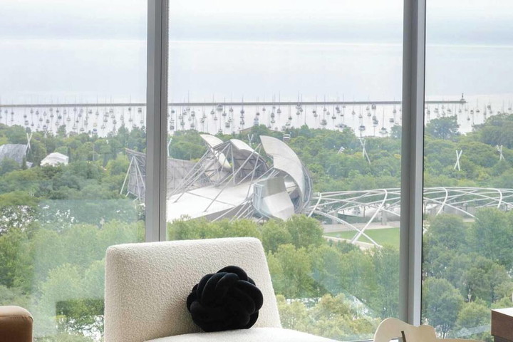 Ph W/ Bean & Lake Views, An Elite Stay - Burbank, IL