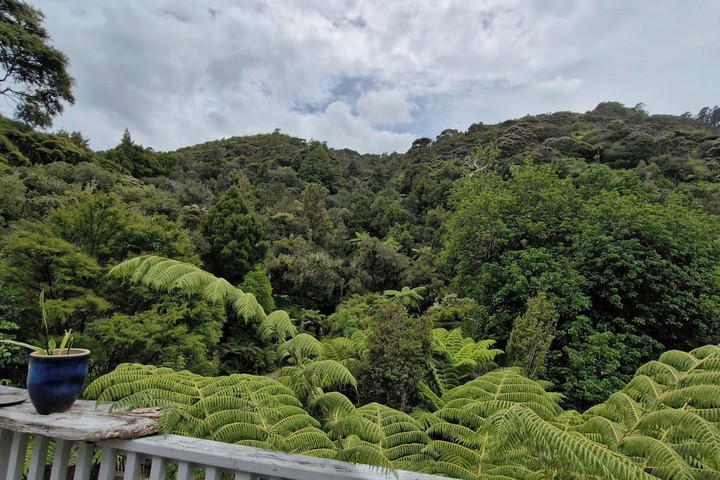 Nature At Its Best - Native Bush Tranquil & Secluded - Coromandel
