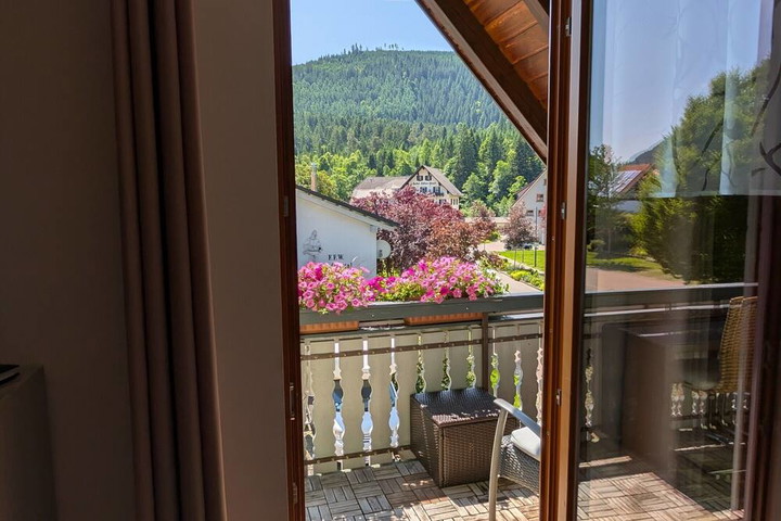 Appartement "Green House" Avec Balcon Et Wi-fi - Baiersbronn