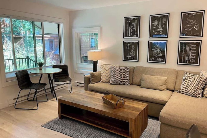 Downtown Telluride Riverside Condo - Boomerang - Telluride, CO