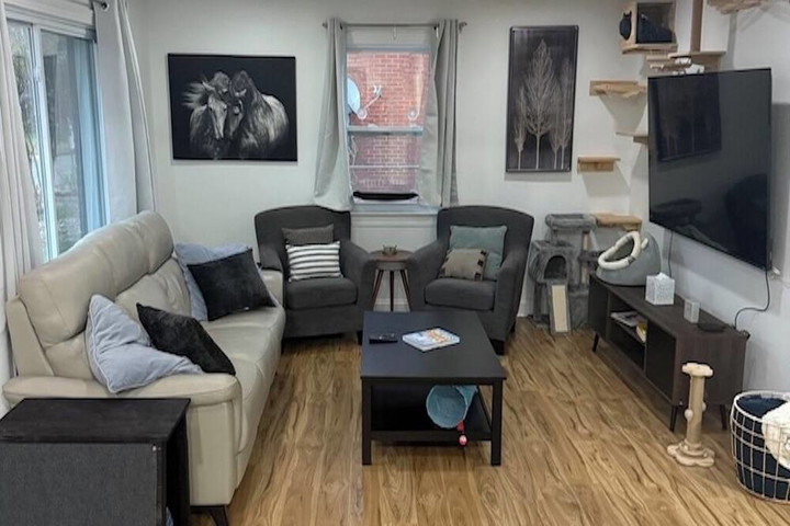 The Cats Meow, The Ultimate 3-bedroom Cat-friendly Getaway In Asheboro, Nc! - Lake Lucas, NC