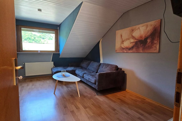 Apartment 'Ferienwohnung Acolon' With Shared Terrace And Wi-fi - Traben-Trarbach