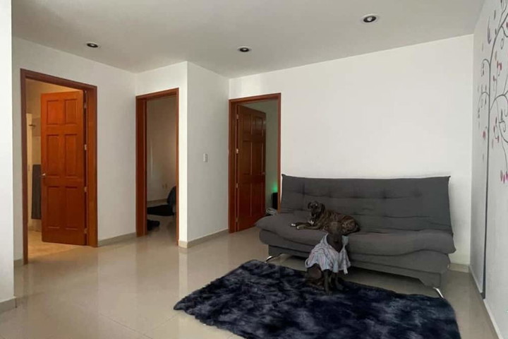 Millenniumiii - Bed/matrimonial - Shared Bathroom And/or Sofabed - Pet Friendly - Santiago de Querétaro