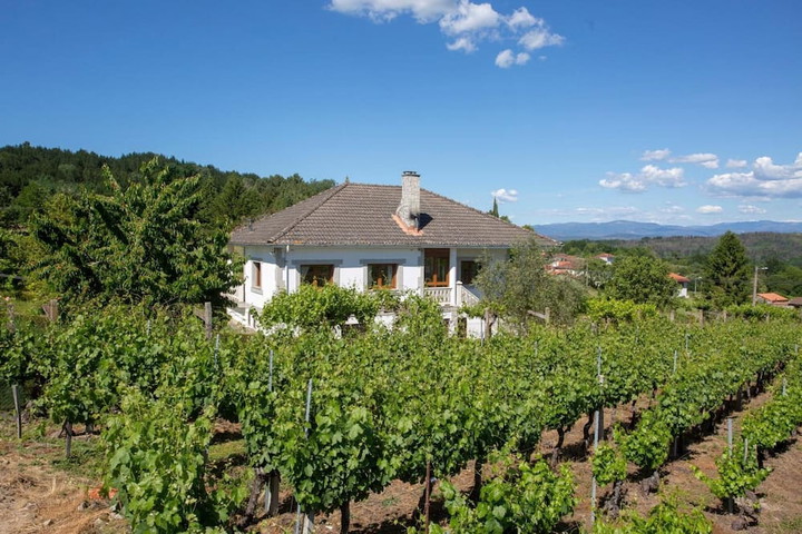 Villa Con Piscina Privada, Vistas A La Montaña Y Wi-fi En Pantón, Ribeira Sacra - Monforte de Lemos
