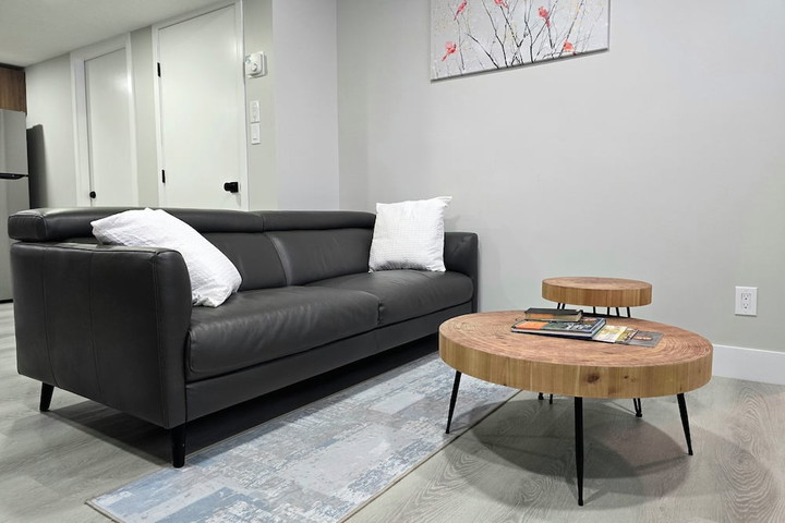 Spacious Basement Suite: 2 Queen Beds, Kitchen, Livingroom, Dining, Laundry - Edmonton