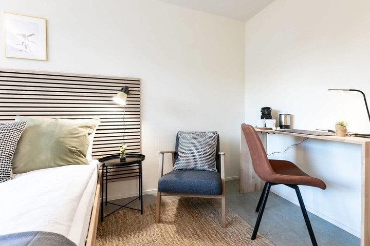 Central St. Gallen Studio (Brown): Fast Wifi & Kitchen For Shared Use - St. Gallen