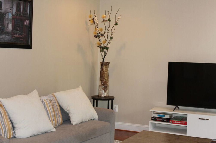 Cozy 3 Bedroom/great Location! Parking Incl. - National Harbor, MD