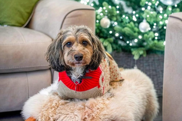 2 Bed In Minchinhampton (Oc-w33358) - Stroud