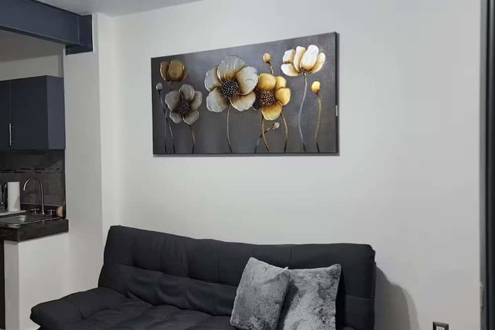 Dpto. 1 Ejecutivo Con Wifi, Terraza, Parking Y A/c - Cuautla