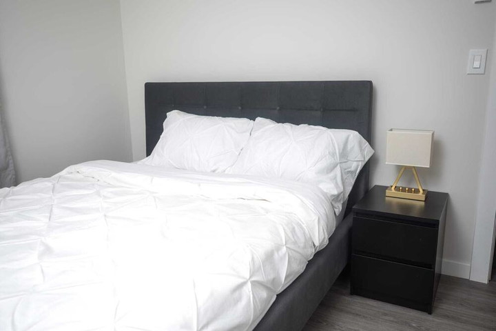 Pharezy Luxe Modern 1-bedroom. Perfect For You. - Regina