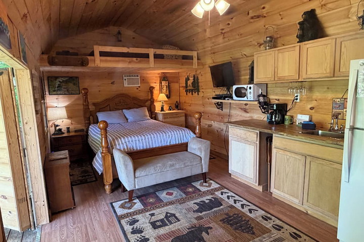 Mountain View Shed Cabin - Cherokee, NC