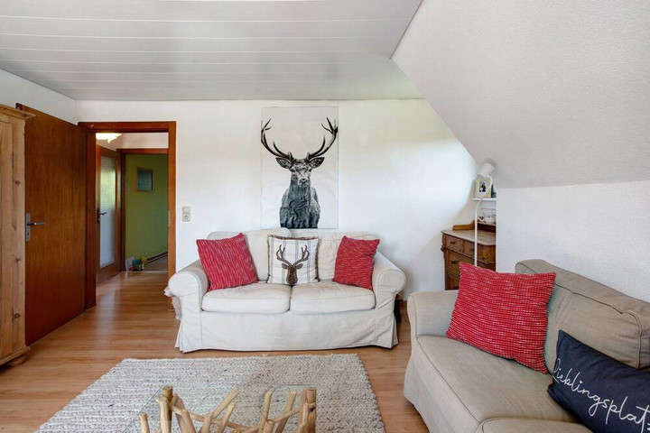 Apartment 'Zipfelmütze' With Shared Garden, Balcony, Sauna And Wi-fi - Feldberg