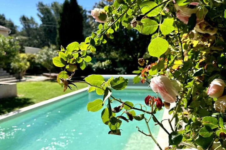 Les Lauriers Roses, Air-conditioned Villa With Garden And Swimming Pool. - L'Isle-sur-la-Sorgue