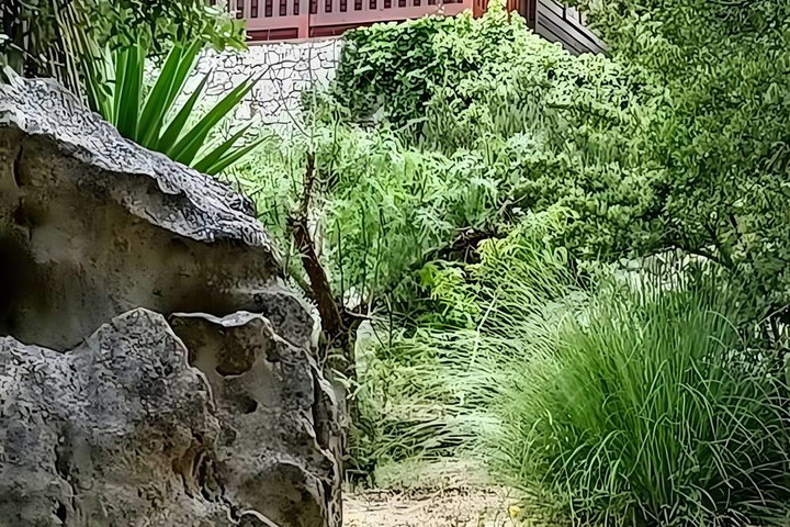 Country House 'Quinta Do Castelo - Casa De Madeira' With Mountain View And Air Conditioning - 