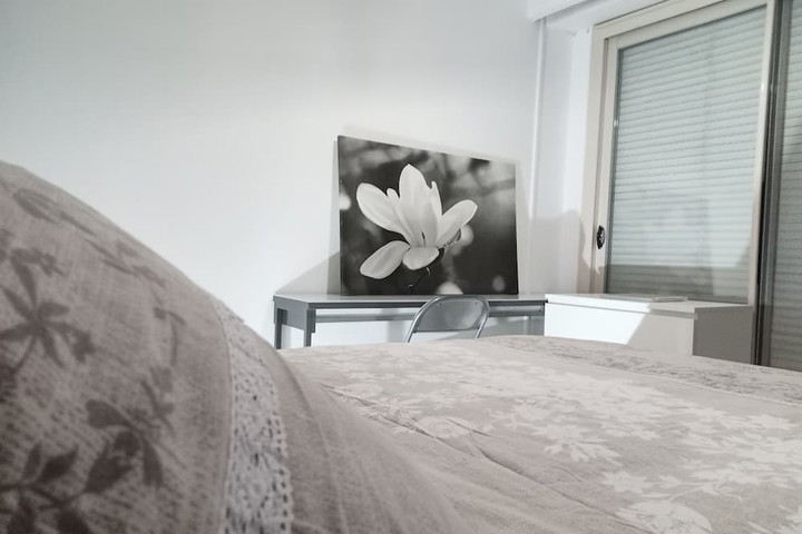 Havard Room - Pau