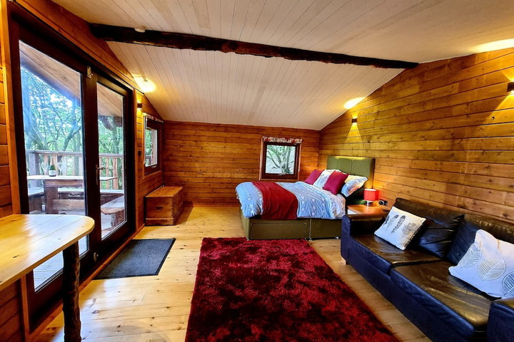 Tree House, Pet Friendly, Character Holiday Cottage In Aberaeron - Aberaeron