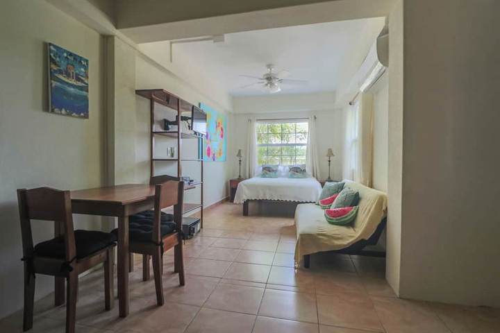 Waterfront Tranquility: 3 Iguanas Villa- 1st Floor Hibiscus Suite W Rooftop Pool - Placencia