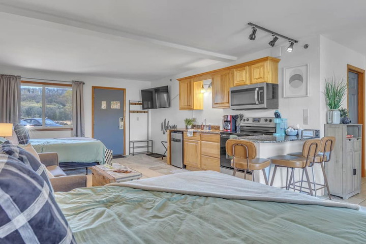 Soak Up The Sun | Modern Studio Villa | Steps To Outdoor Hot Tub - Wisconsin Dells, WI