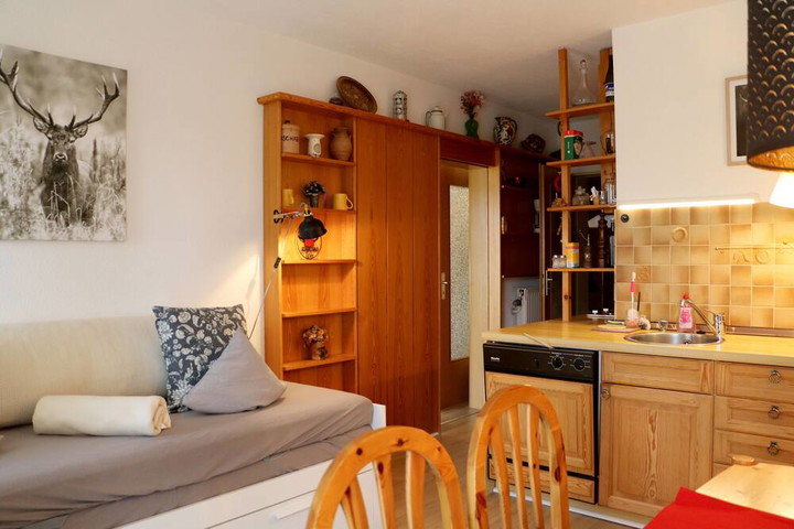 Vacation Apartment/apartment For 4 Guests With 50m² In Feldberg (Black Forest) (312686) - Feldberg