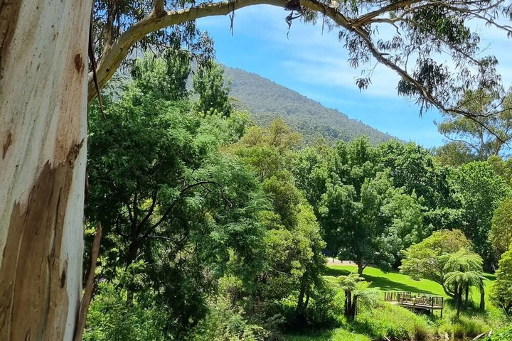 Idyllwylde: Pet-friendly, Renovated Vintage Cabin, Walk To River And Town - Warburton