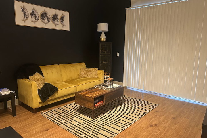Cool Haven In The City, Close To The Medical Center And Nrg. - Houston, TX