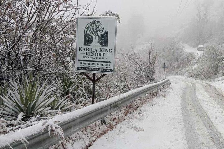Kabila King Resort - Himachal Pradesh