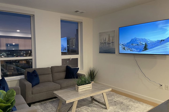 Reston Metro Apartment - Home Office Off Silver Line - Herndon, VA