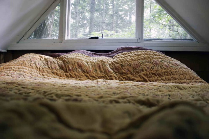 'A Place In The Woods' - Cabin On Chloe's Lake On 23 Acres Near Woodstock, Ny - Catskill, NY