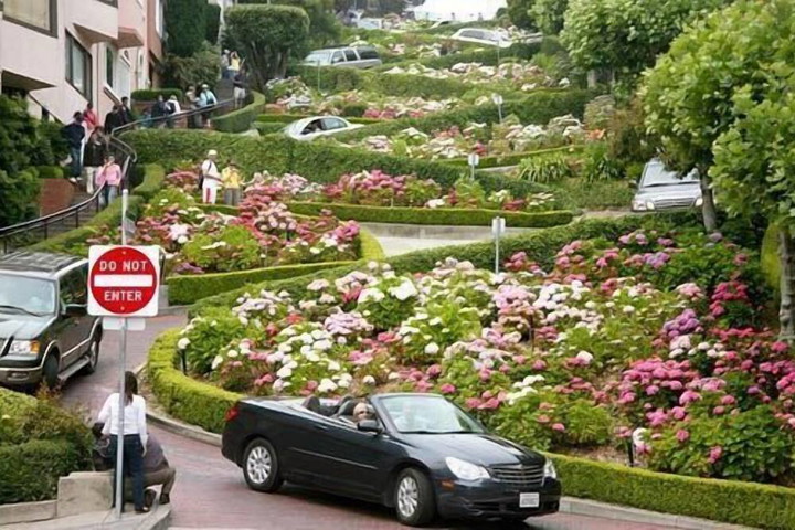 Classic And Cozy Home Away From Home In Beautiful And Convenient Russian Hill - San Francisco, CA