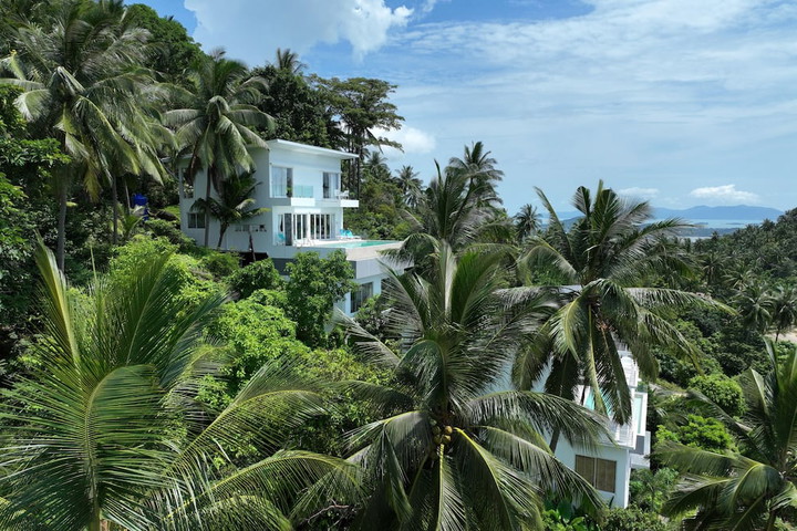 Plenty Of Fun Things To Do Nearby! 2 Relaxing Units, Whale-watching! - Captain Cook, HI