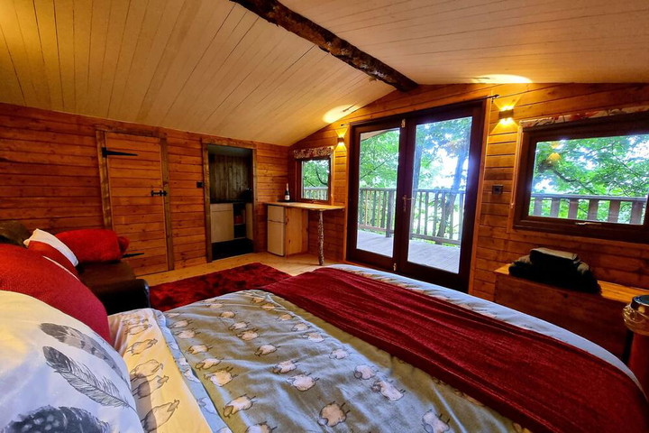 Tree House, Pet Friendly, Character Holiday Cottage In Aberaeron - Aberaeron